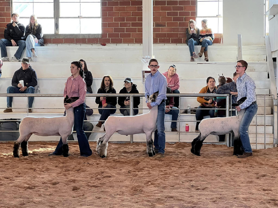Kent Co. Livestock Show this weekend in Clairemont | The Texas Spur