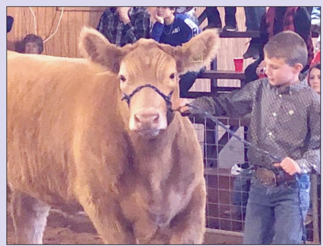 Dickens Co. Stock Show - WINNERS' CIRCLE - | The Texas Spur